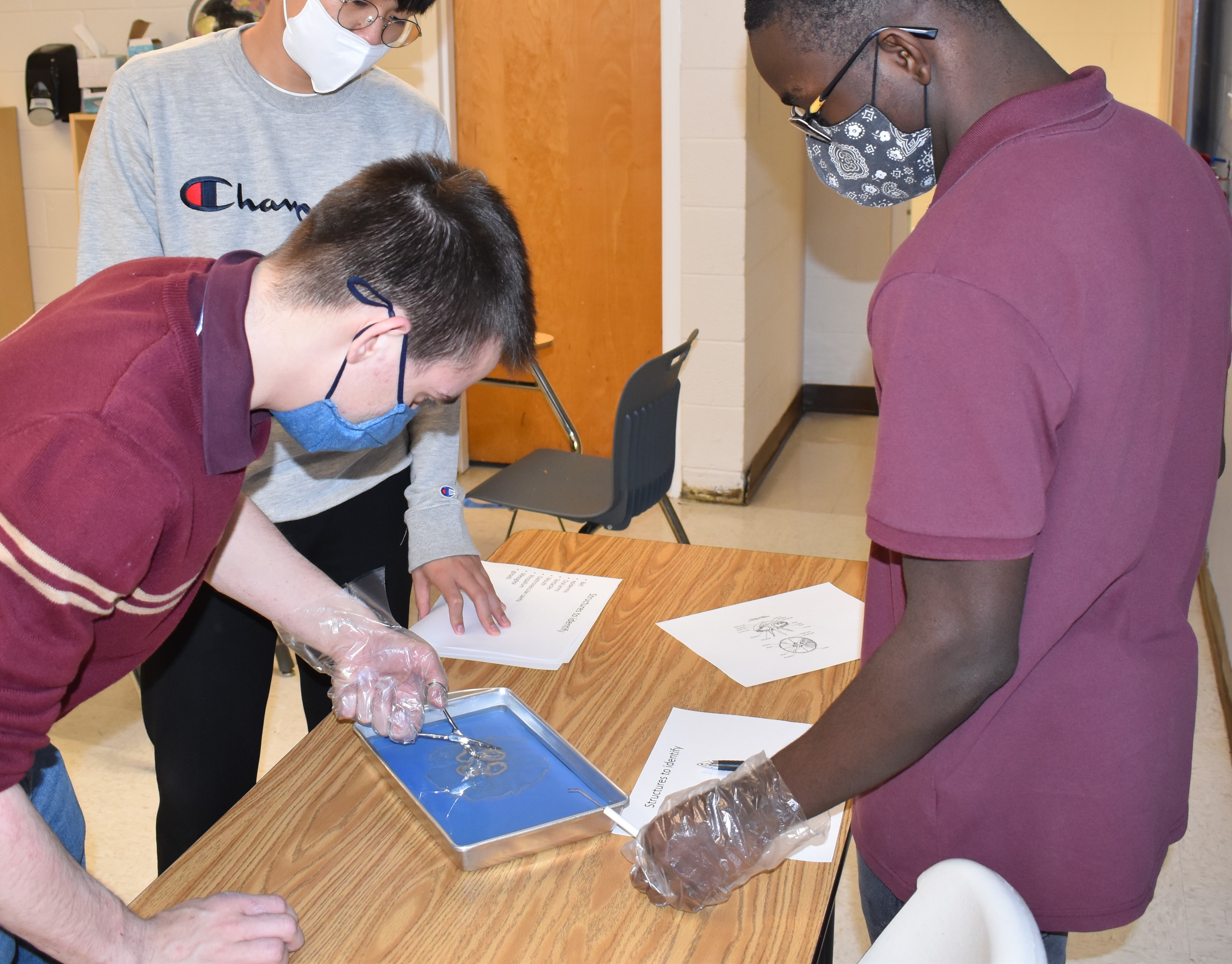 Cresset Christian Academy